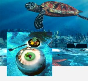 Het meest bijzondere restaurant van Nederland - Dinner in Motion